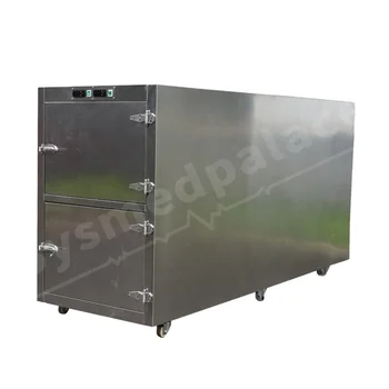 Large Selection Of Mortuary Coolers And Freezers Forensic Lab And ...