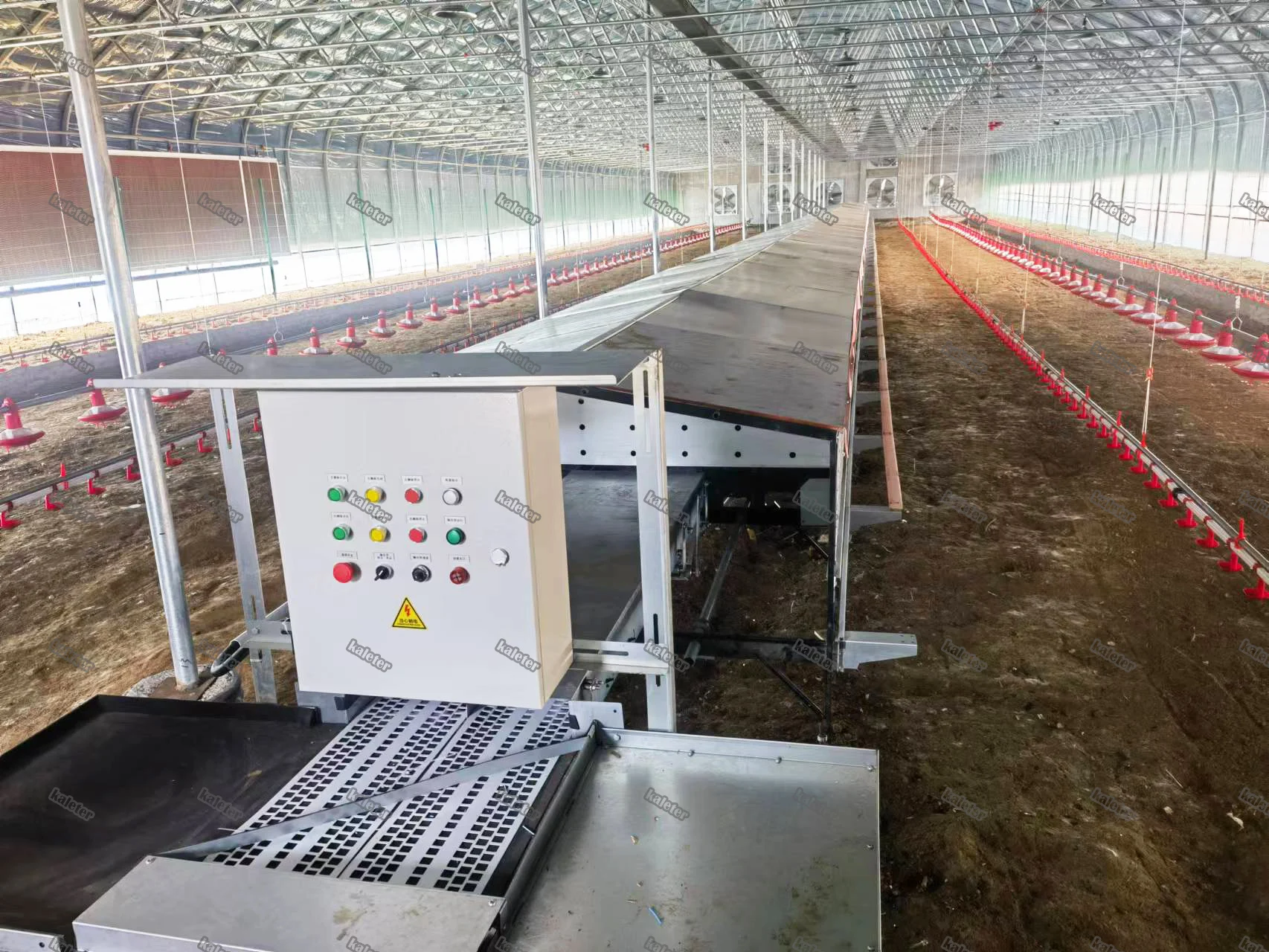 Chicken Nesting Box - Efficient Egg Collection System