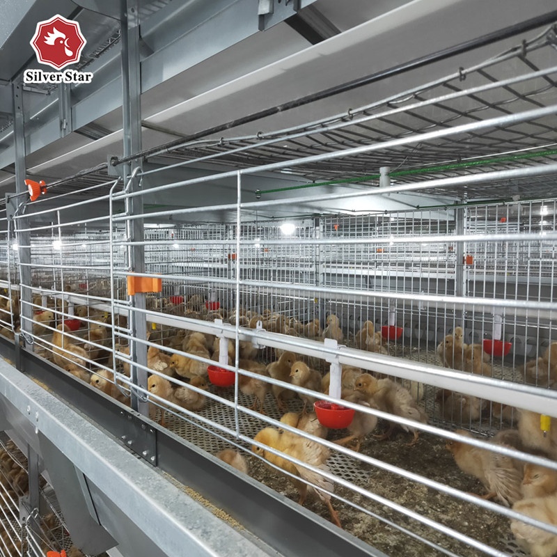 3 Tier H Type Fully Automatic Battery Chicken Broiler Cage System