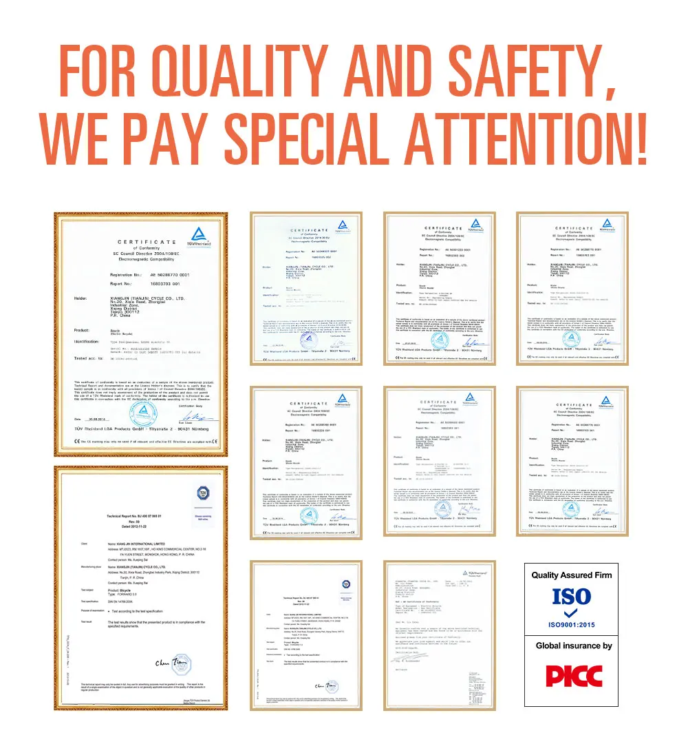 TXED 250W Electric Dirt Bike Rear Hub Motor with Mechanical Disc Brakes Bike Motorcycle Style E ...