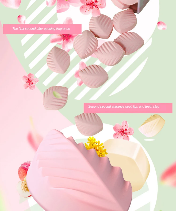 Chinese Chewing Gum Sugar Free Chewing Gum 27g Floral Mints Mint ...
