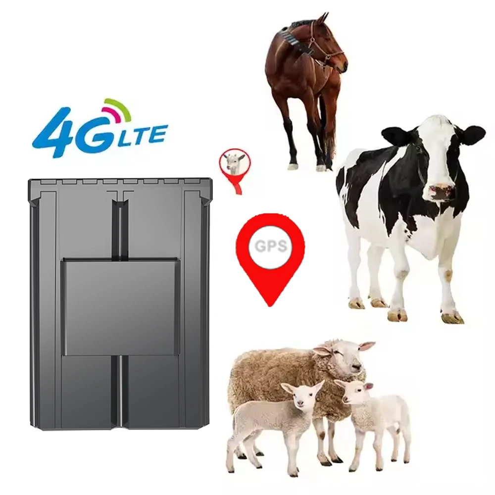 Solar Powered Ear Tag Gps Tracker For Cattle Locator Waterproof Magnet Free Built-in Battery ...