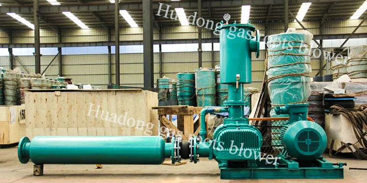 Blower For Transport Biogas Carbon Dioxide Natural Gas High Temperature ...