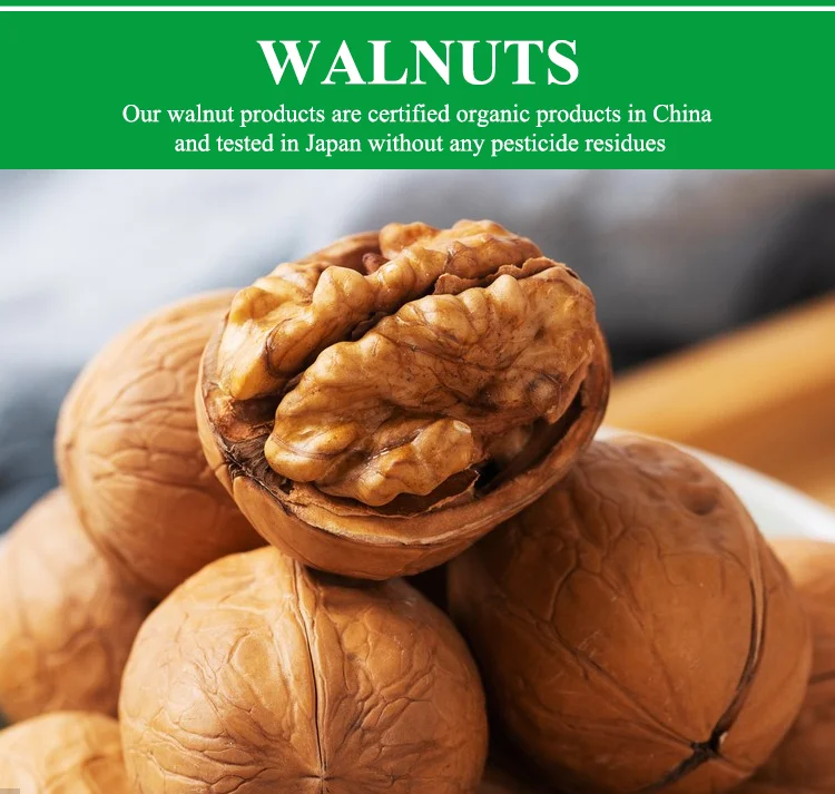 Excellent Quality Thin-skin Raw Walnut With Shell In Bulk Wholesale Walnut In Shell - Buy Whole ...