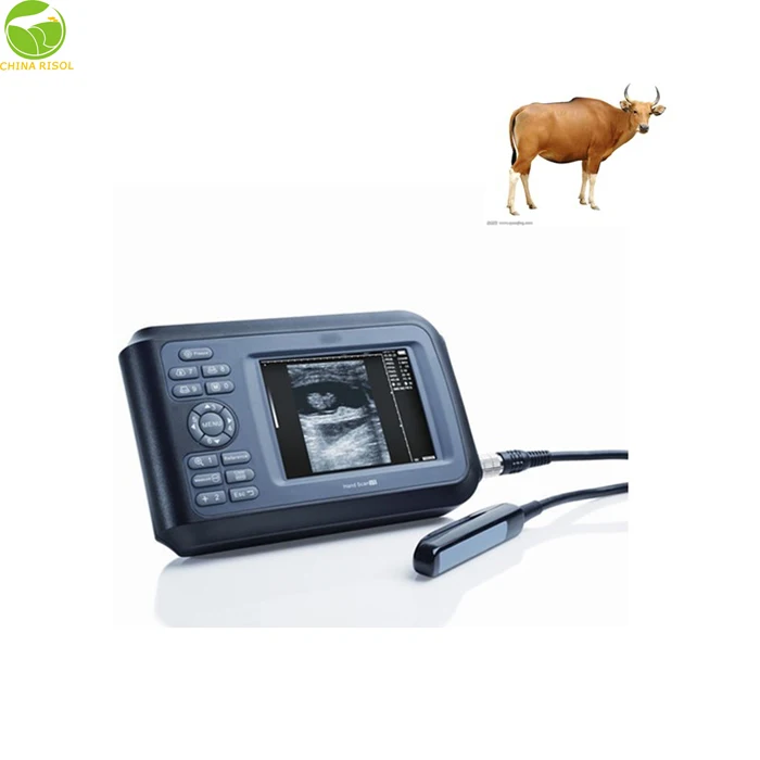 Livestock Equipment Cattle Pregnancy Ultrasound Machine Best Veterinary ...