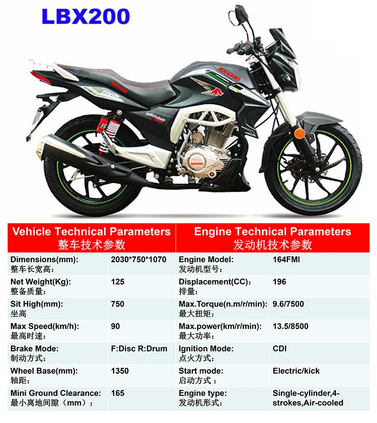 2020 Dongma Retro Monster Electric Motorcycle 2000W