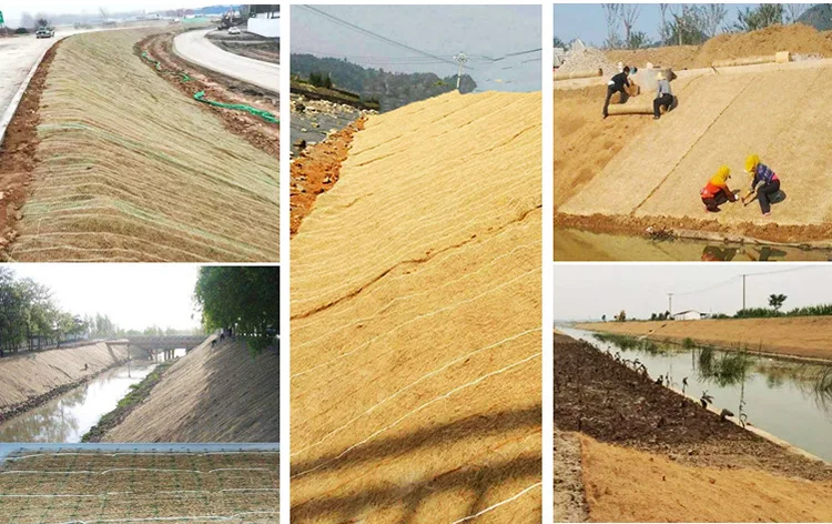 Coir Mesh Coir Matting Erosion Control Coconut Erosion Control Blanket ...