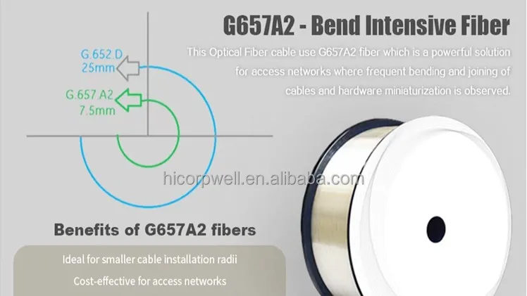 Uv-vis Spectrophotometer Fiber Qmmf-uvvis-576/600-900-0.75-l Uv-vis For ...