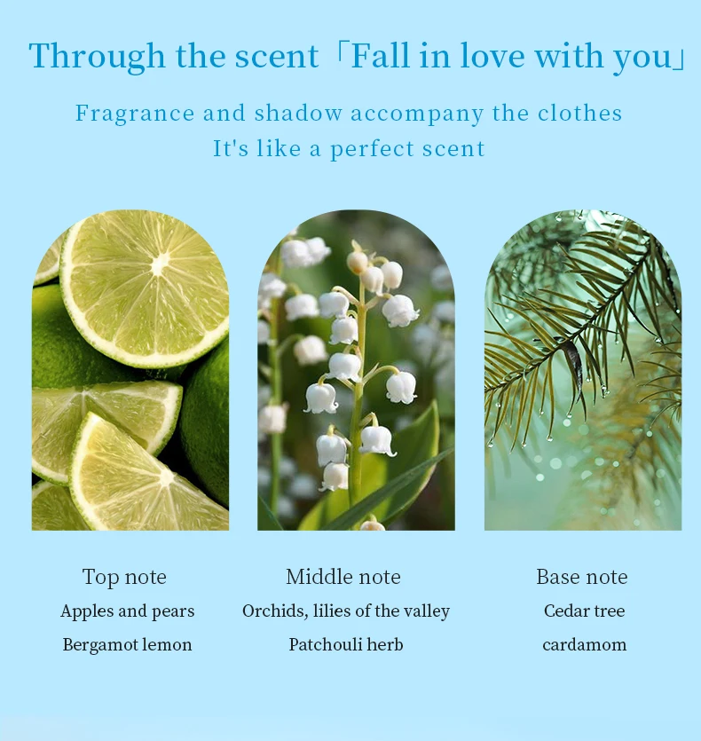 Different Formulations Laundry Detergent Washing Powder And Washing ...