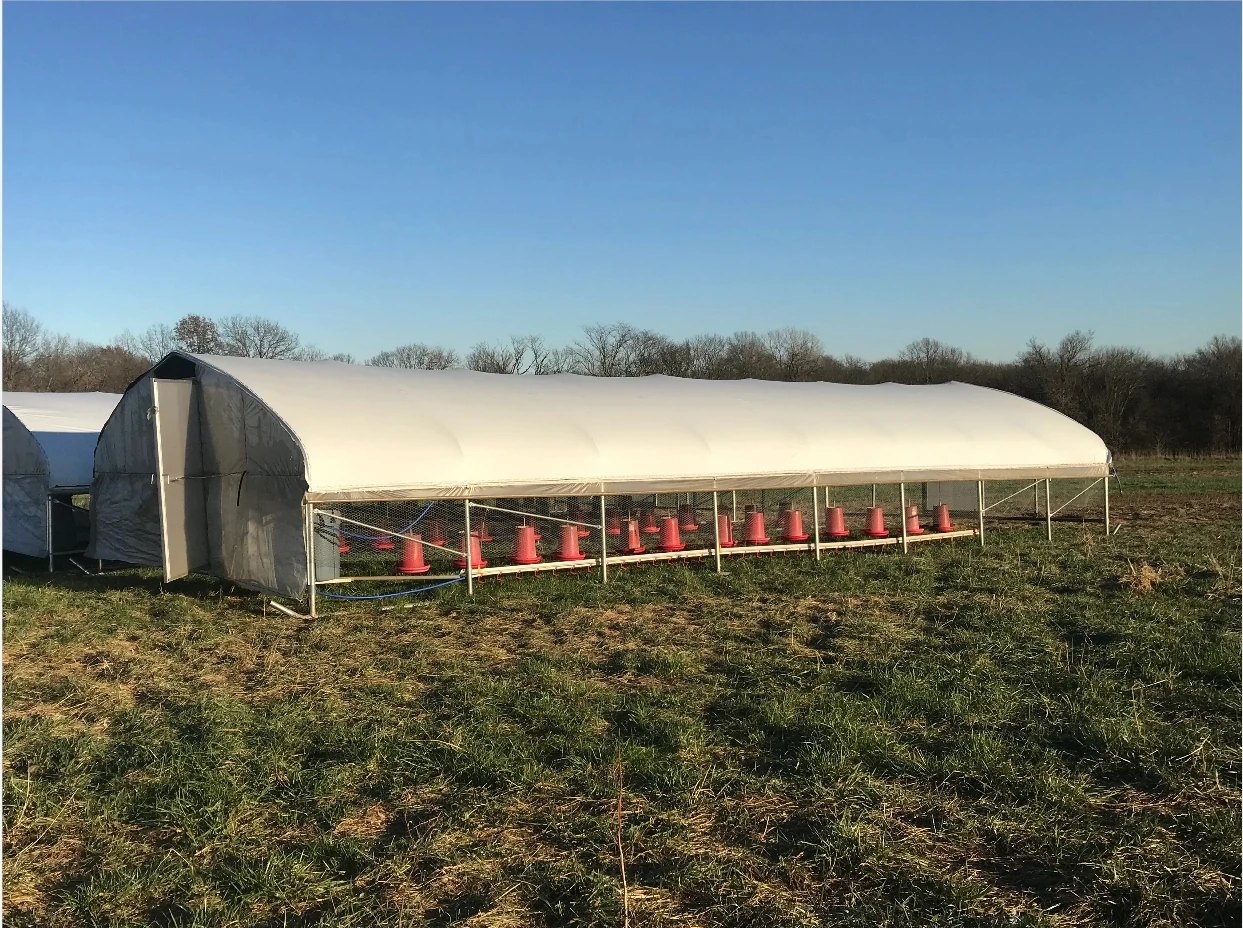 Mobile Broiler House Structures Breeding Greenhouse Solar-powered Robot ...