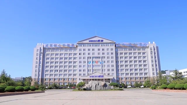 Company Overview - Shandong Weigao Group Medical Polymer Co., Ltd.