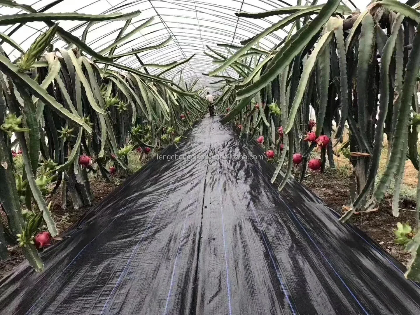 Anti UV PP Material Woven Weed Mat - Reflective Barrier