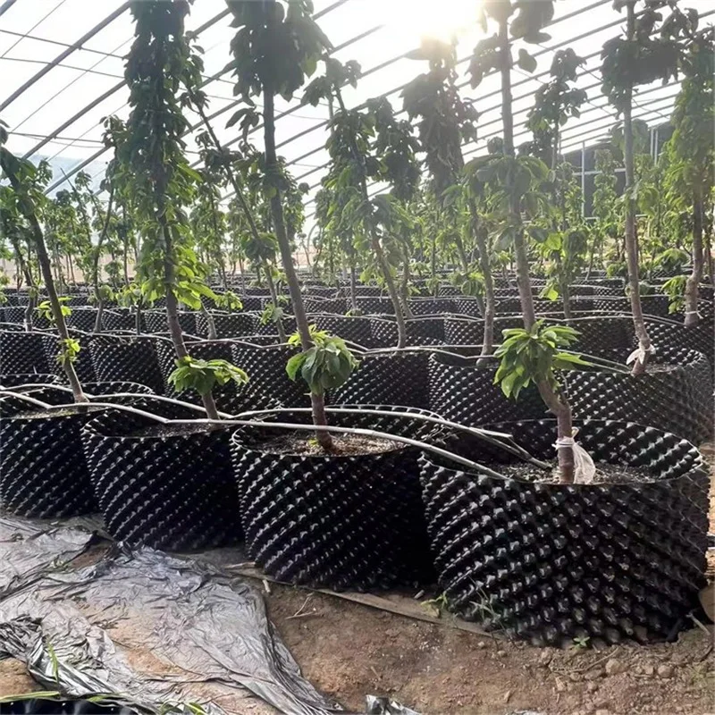 Plant Root Control Propagation Trainer Fast Root Grow Container Air ...