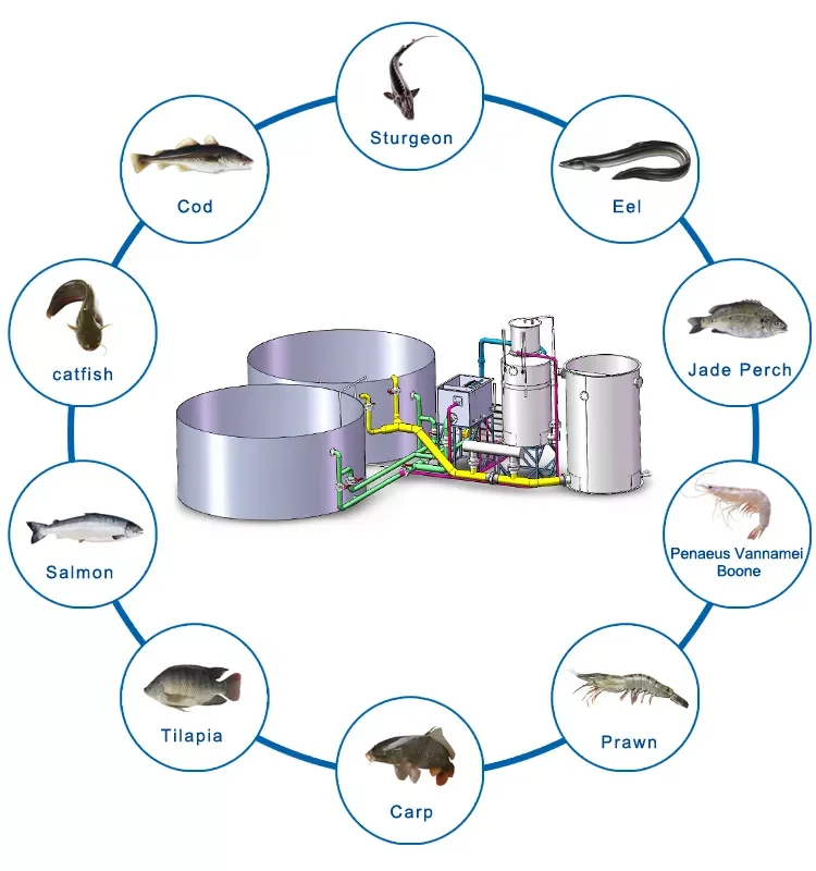 RAS Recycle Aquaculture System Fish Crab Shrimp Farm Protein Skimmer ...