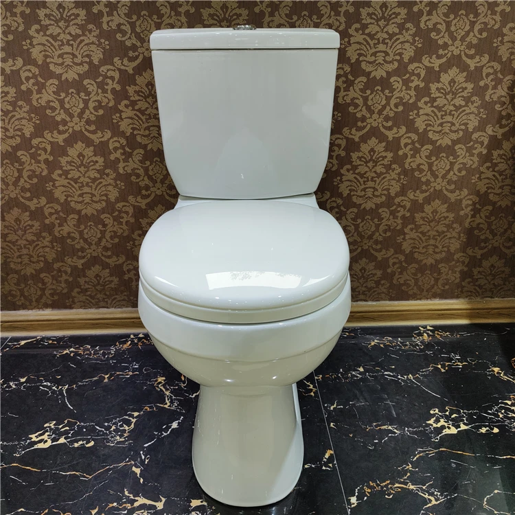 Modern Ceramic Toilet Sanitary Ware - Dual-Flush System