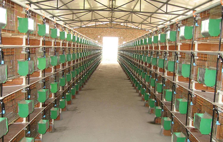 3-Layer Welded Mesh Rabbit Cage for 9 Rabbits - DIY OEM | Wholesale