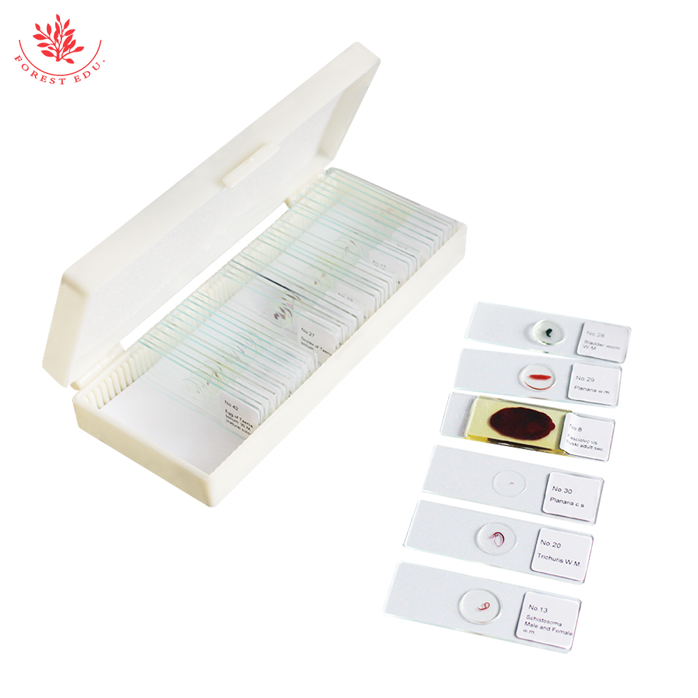 Parasite Microscope Slides - Educational Medical Tools