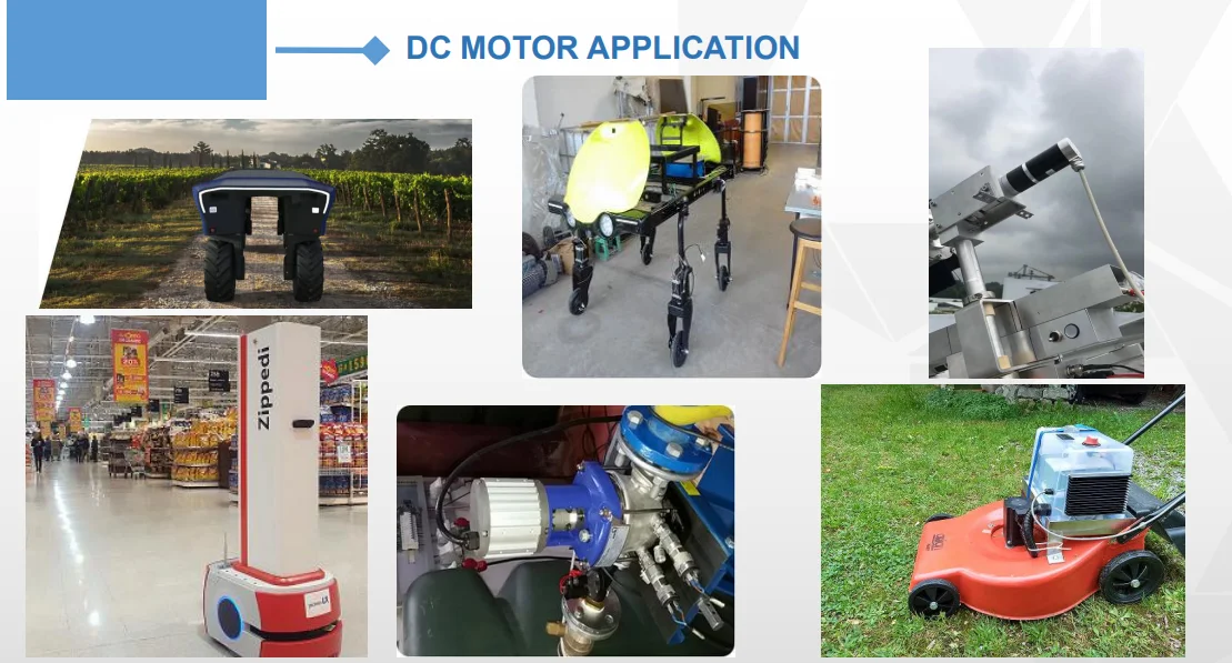 48V 80mm DC Brushless Bldc Electrical Motor with Permanent Magnet ...
