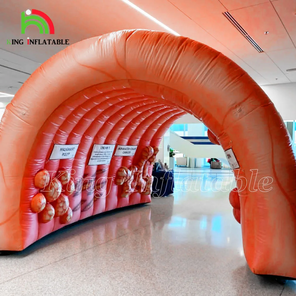 Inflatable Colon - Medical Educational Tool for Cancer Awareness