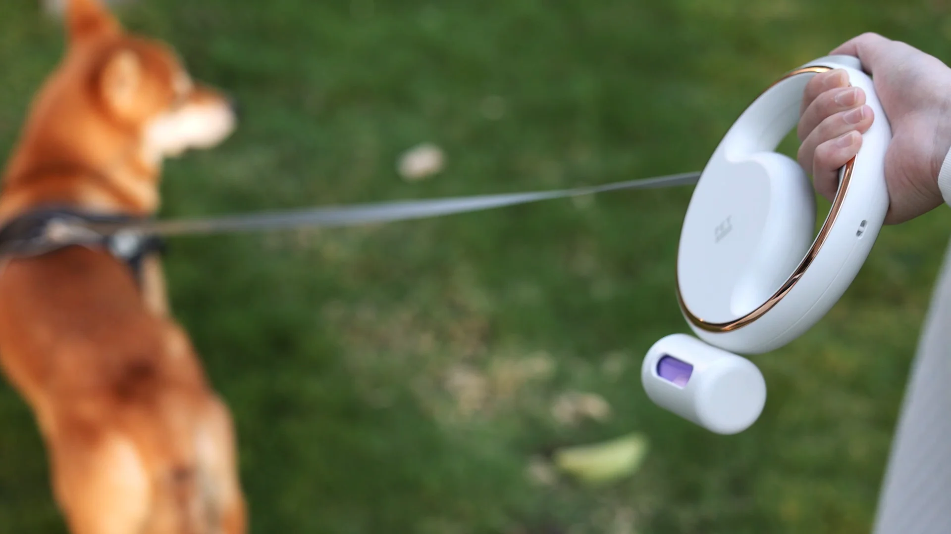 2022 Pet Accessories Retract Puppy Lead Leash Products Premium Dog Rope ...