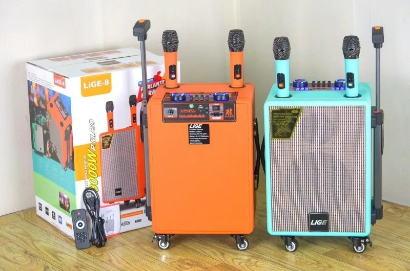 8 Inch Woodiness Bass Trolley with Karaoke Party Speaker