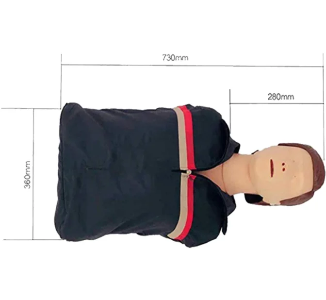 Alibaba.com: Medical Education Manikin 190 CPR Silicone Half Body Model ...