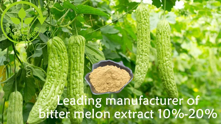 High Quality Bitter Melon Extract Powder Bitter Melon Extract Capsules ...