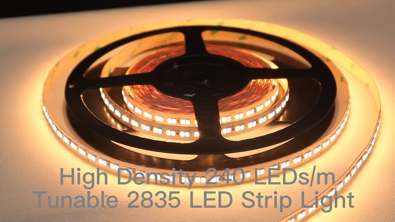 2835 Smd Waterproof Led Strip Flexible Two Color Led Strip 12v Smd2835 ...