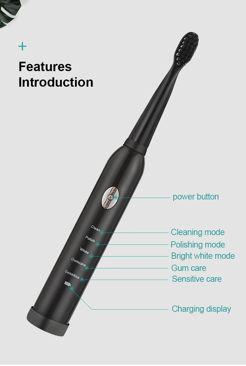 Adult Timer Electric Toothbrush - Soft Bristle & IPX7 Waterproof