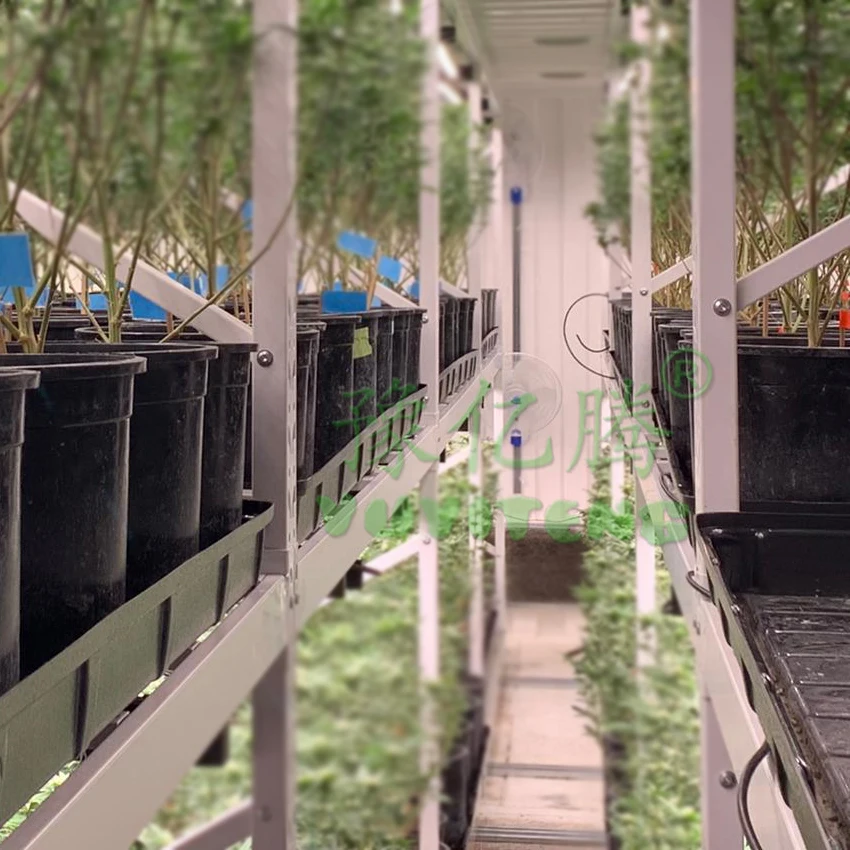 Indoor Farm Rack Growing Vertical Hydroponic System - Buy Vertical ...