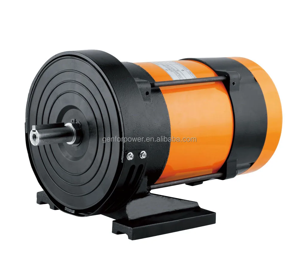 High Quality Dynamo 100% Copper Wire Alternator with AVR