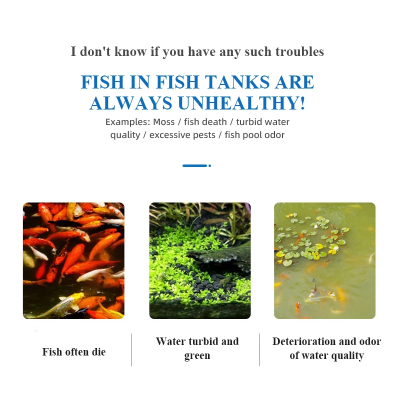 Qlozone Bakki Shower Filter System For Koi Ponds & Water Treatment Odm