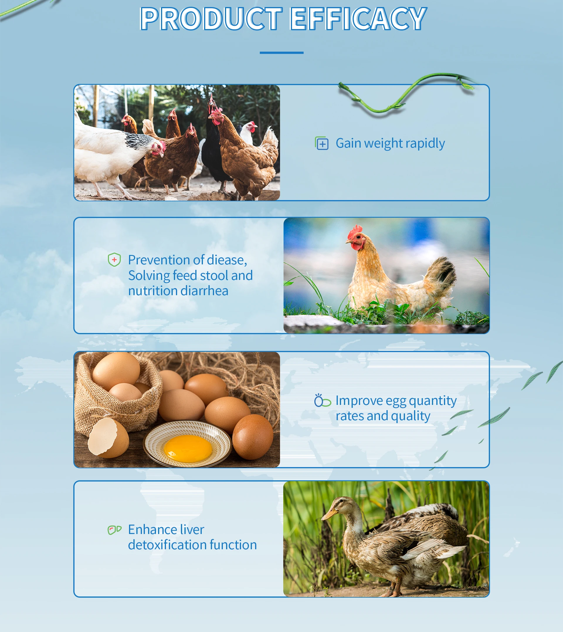 Animal Feed Additive - Promote Growth with Sodium Saccharin