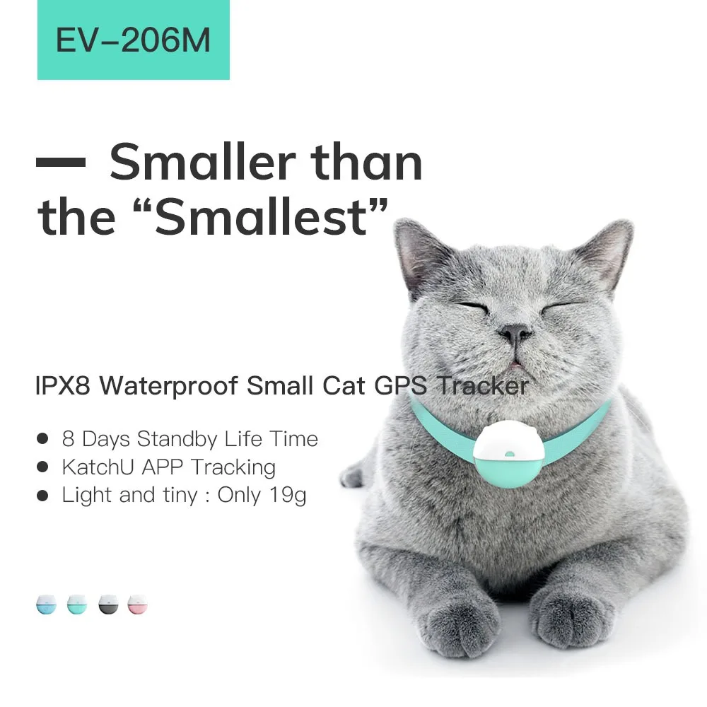 EV-206M Small Cat GPS Tracker Product Show Stream 2023 - Alibaba.com