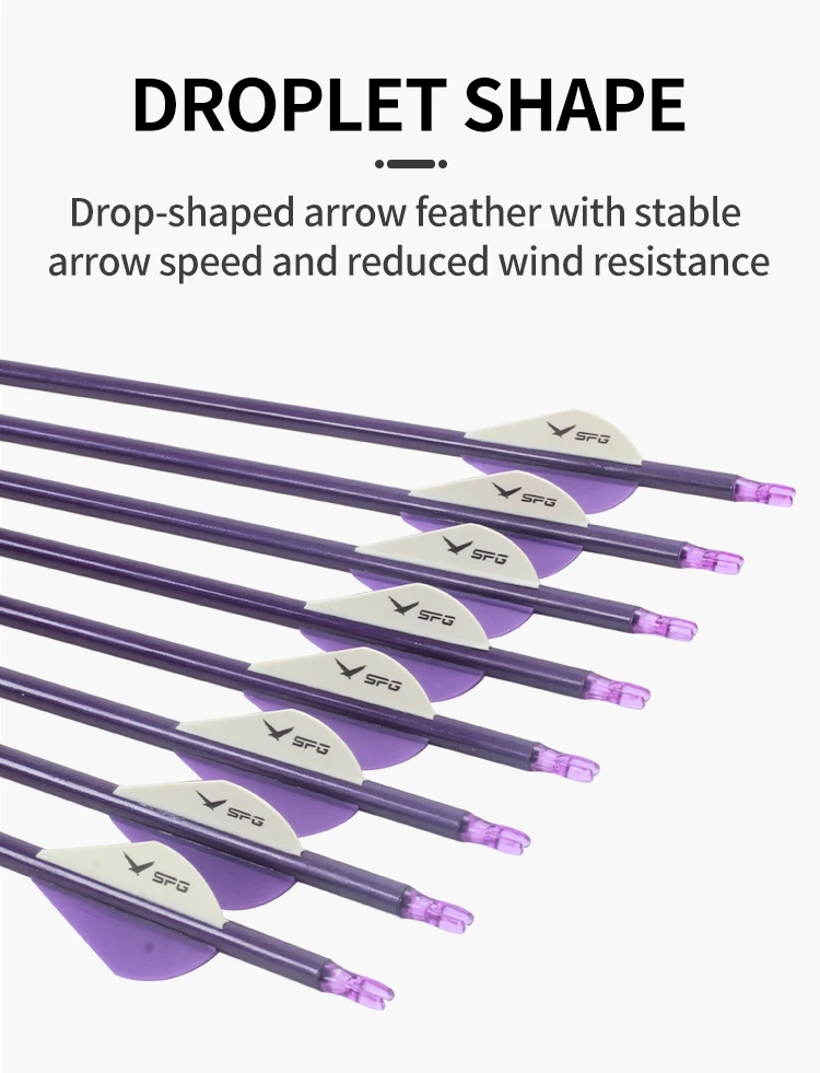 Arcehry ID 6.2 Pure Carbon Arrow 300 400 Spine Shaft Plastic Vanes ...