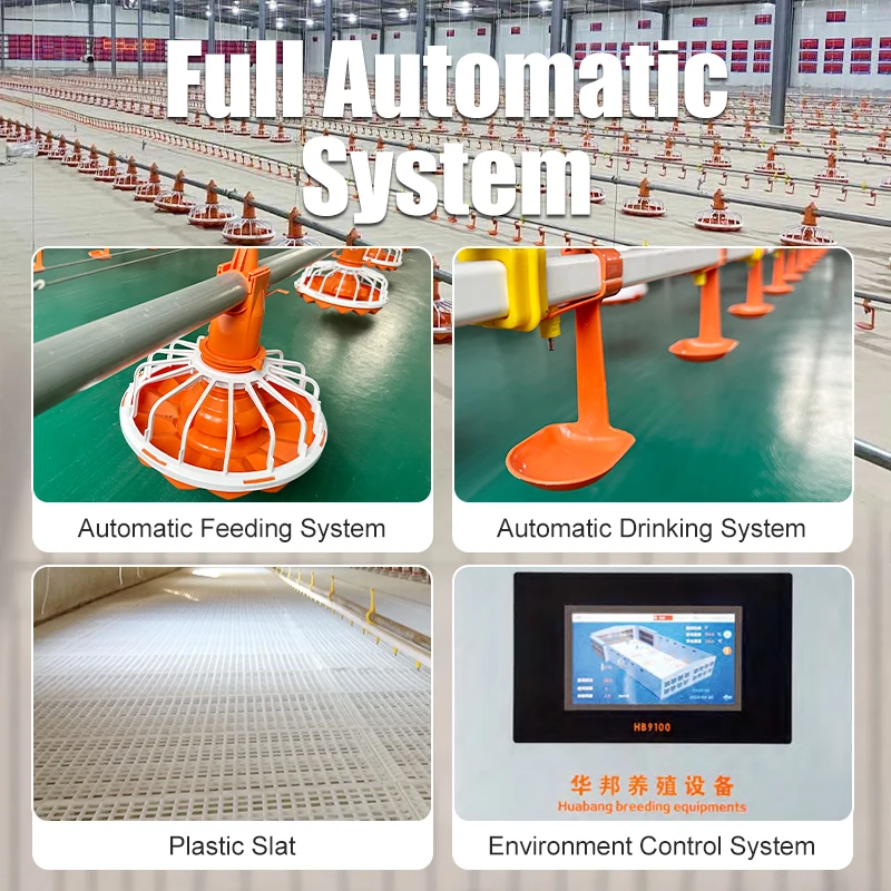 Alibaba.com: Automatic chicken farm feeding line system, broilers ...