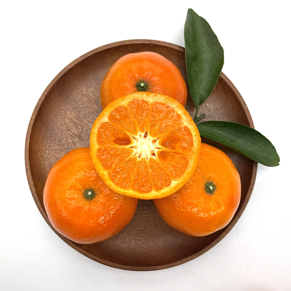 Fresh Citrus Mandarin Orange 2024 Mandarin Orange Cheap Price Mandarin ...