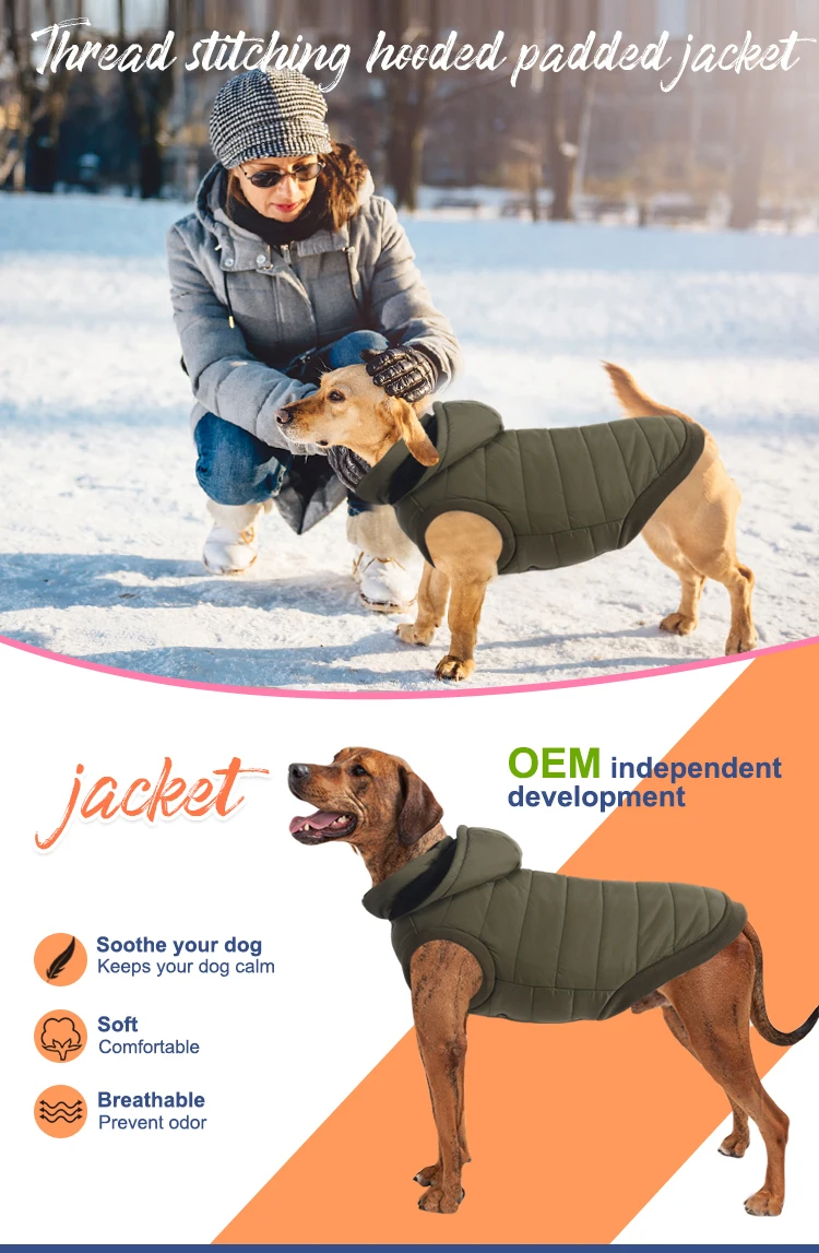 Manufacturer Pet Down Jacket Dog Cotton-Padded Clothes Pet Coat for ...