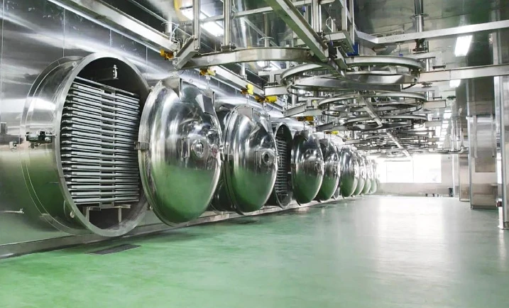 Shanghai Factory Industrial Plant Vacuum Freeze Dryer Equipment for ...