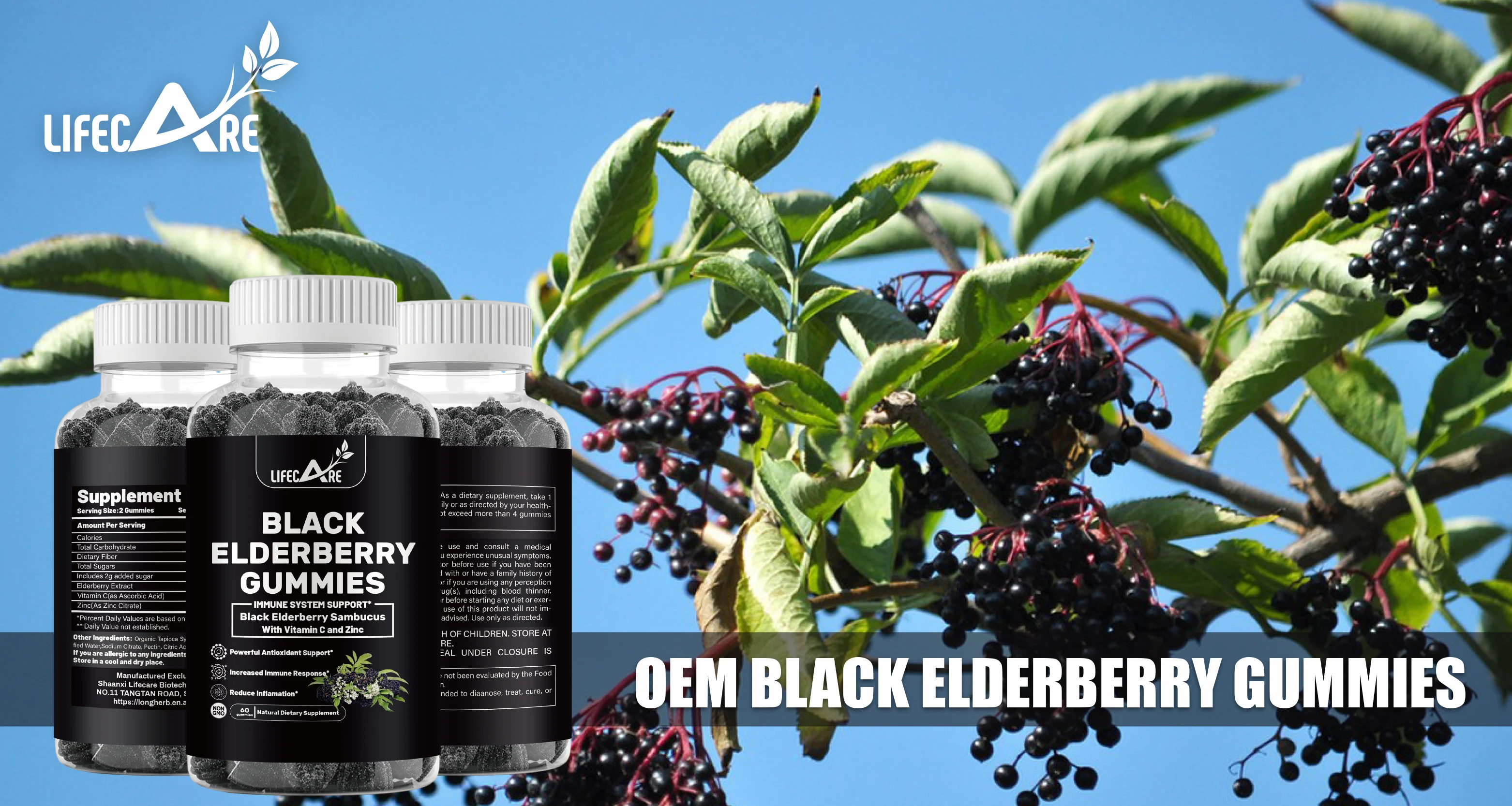 Oem Supplement Black Elderberry Gummy Vitamin C Seamoss Gummies Black ...