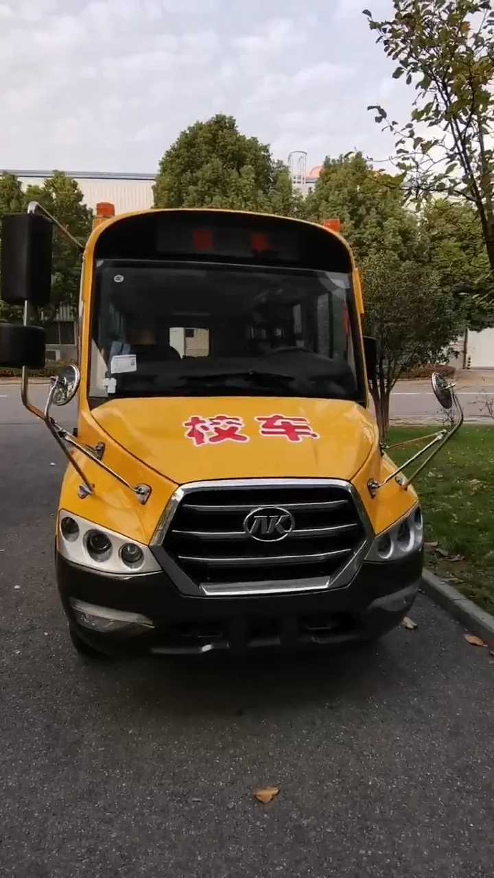 Ankai 30 Seats Euro 3 Diesel Special School Bus For Primary & Middle ...