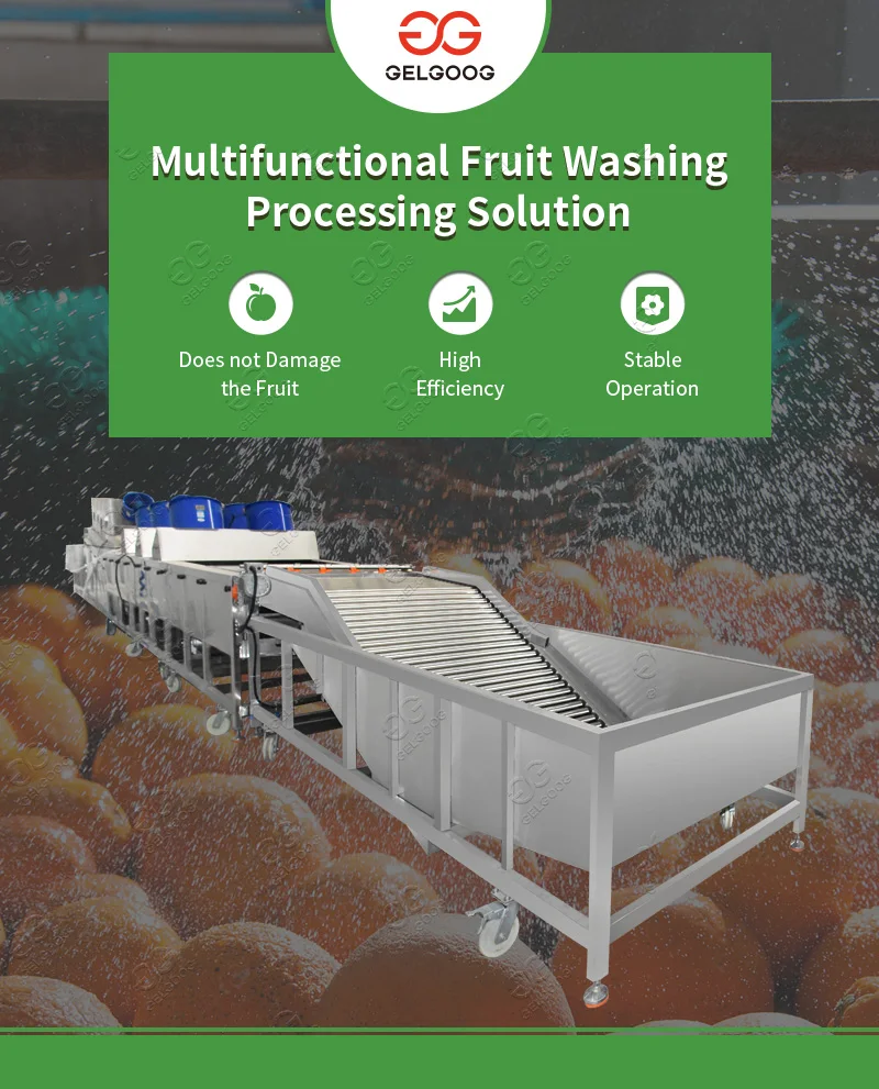 Mango Sorting and Quick Drying Machine - Efficient Fruits Processing