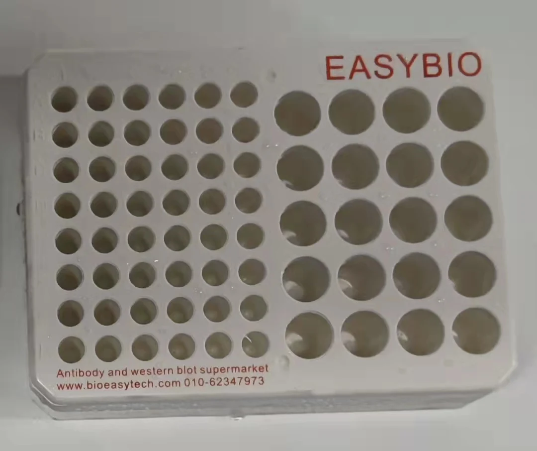 Be6847 Laboratory Ice Free Pcr Tubes Cooler Tube Rack Block Coolbox ...