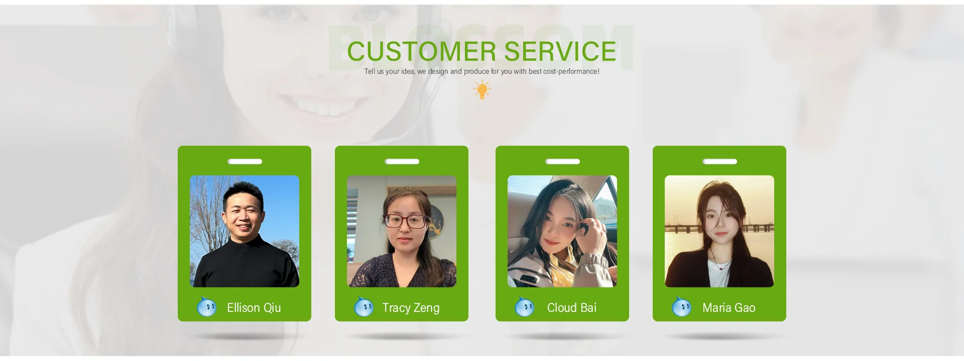 Company Overview - SHENZHEN BLOSSOM LIGHTING CO., LIMITED