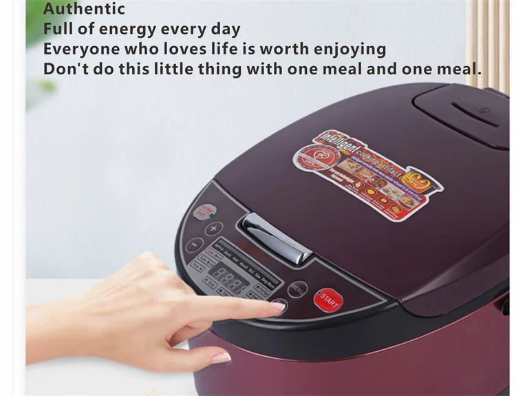 Hot Sale Silver Crest 5l Steamer Automatic Multifunction Electric ...