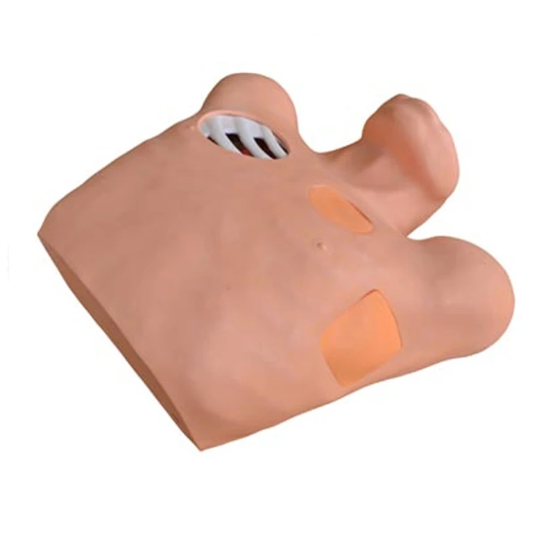 Pleural Drainage Simulator - Advanced Medical Training