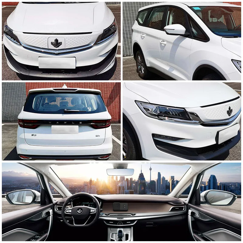 2023 Low Cost Car Electric Car Adult Mpv Ruilan Maple Leaf 80v Pure Electric Car - Buy Maple ...