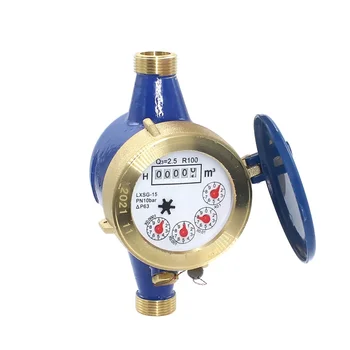 Neptune New 1 T-10 Direct Read Water Meter Nsf61 - Buy Npt Thread ...