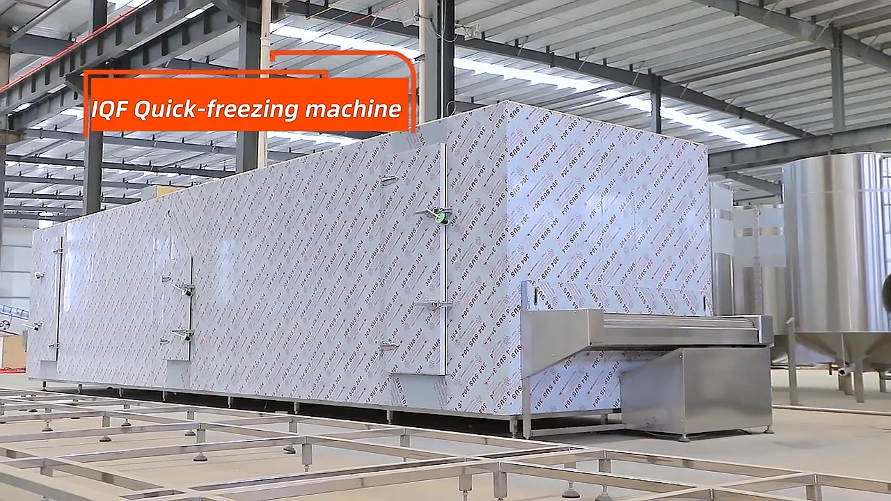 Freezer Tunnel Iqf Quick Freezer Fish Iqf Freezer Machine Tunnel - Buy ...