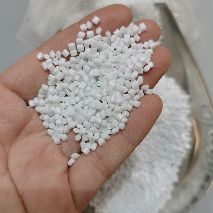 Pet Resin Ramapet S1 - Versatile and Durable Solutions